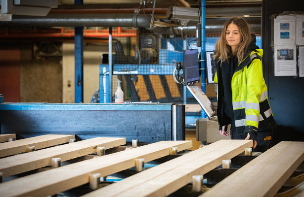 Slow-grown timber from northern forests - Norra Timber