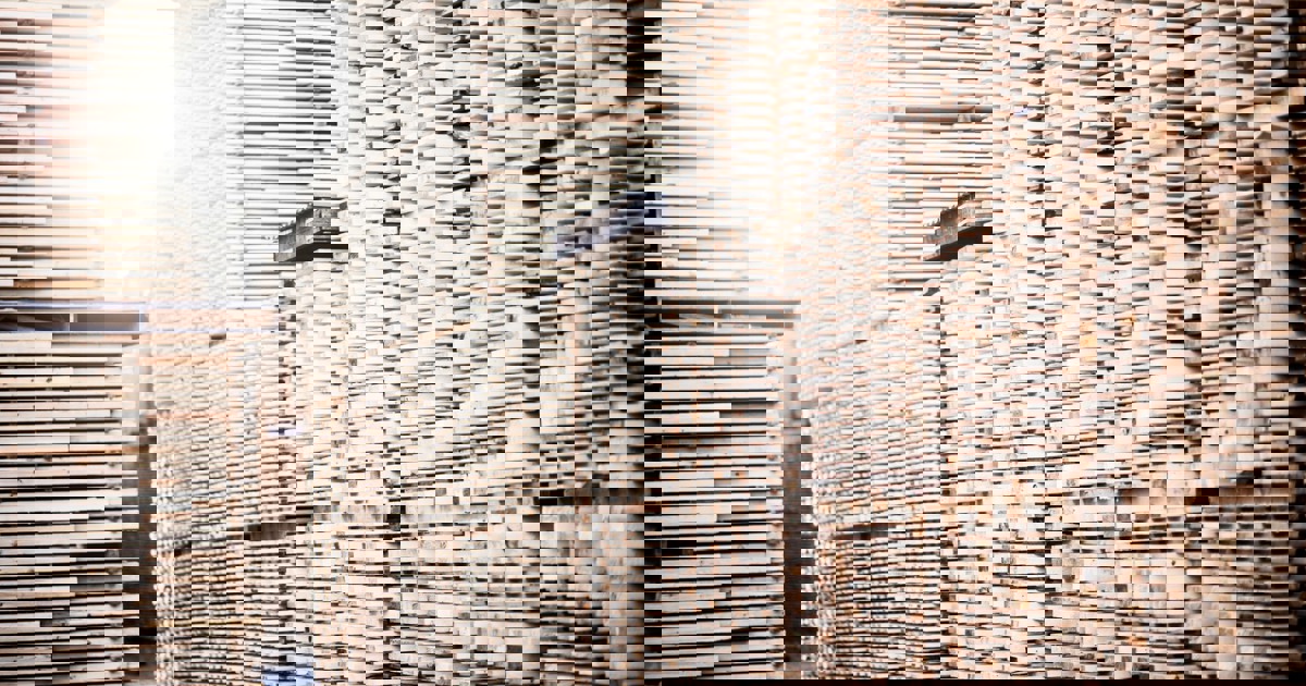 Slow-grown timber from northern forests - Norra Timber