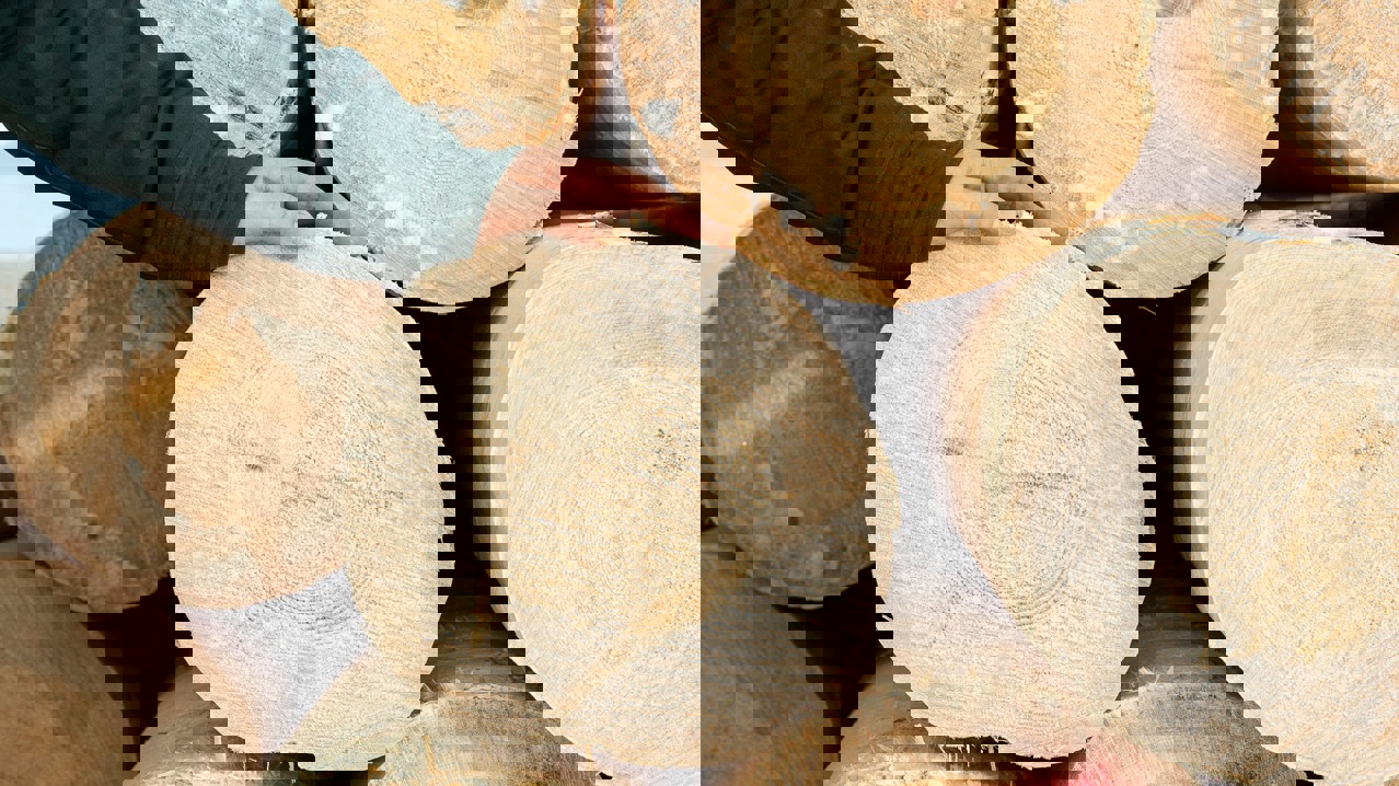 Norra Timber's utility pole factory posts record sales despite ...