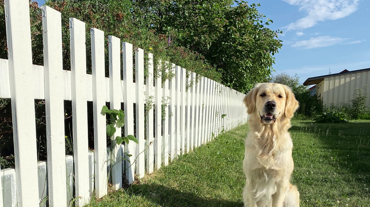 Save time by building fences with pre-painted cladding panels - Norra ...