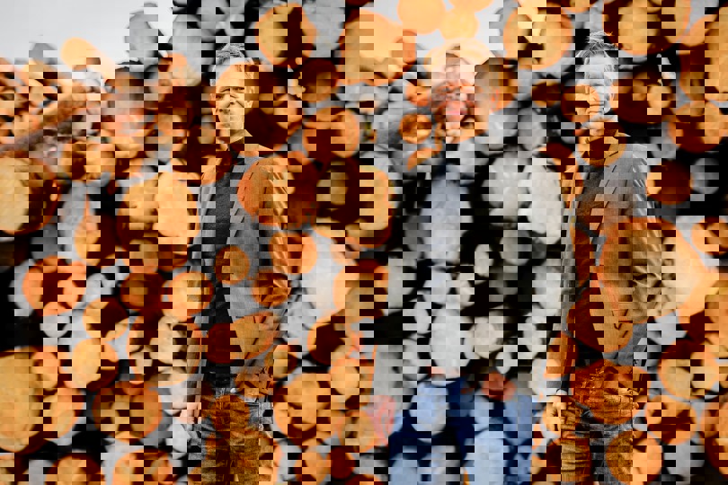 Premiums that reward timber felling